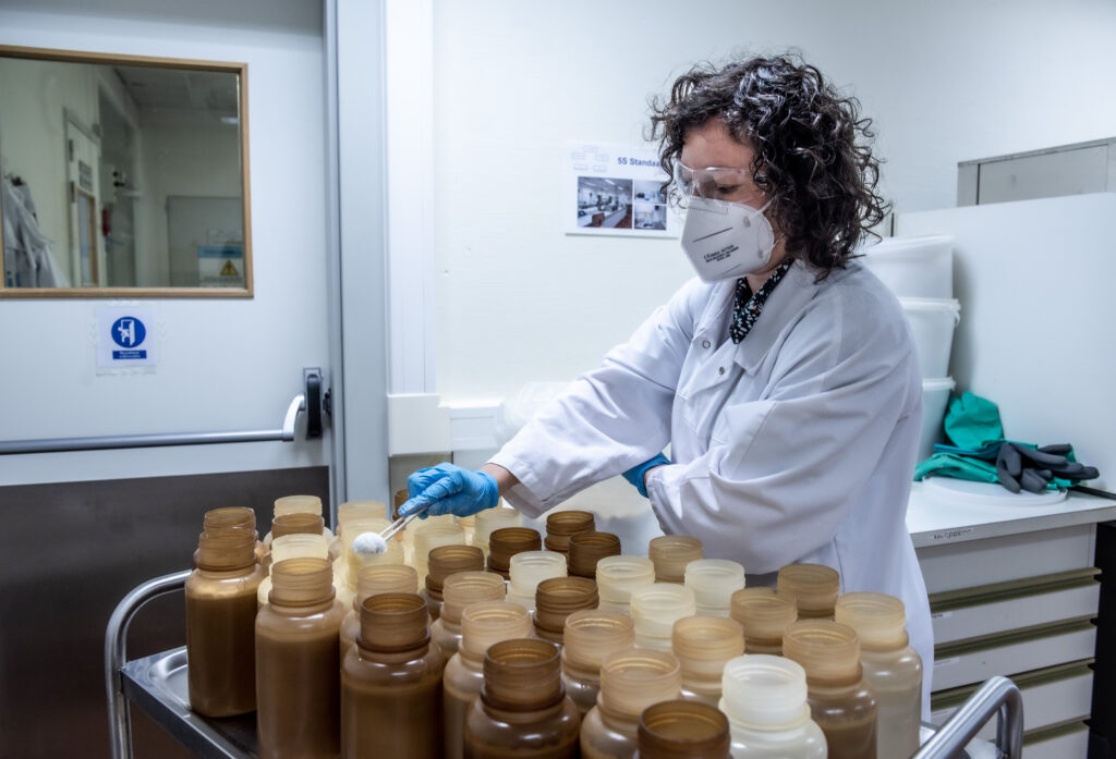 IFF Ieper - IFF Ieper - Solae Belgium - Careers